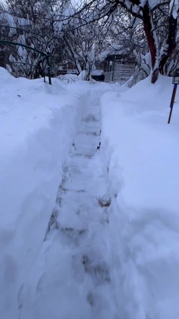 Зимой каждый развлекается по своему...