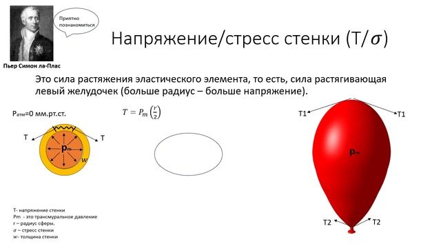 Механика сердца (л2) Анастасия Юсупова