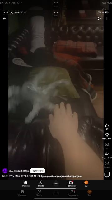 БОЛЬШОЙ ГУГУ ГАГА НОВЫЙ МЕМ