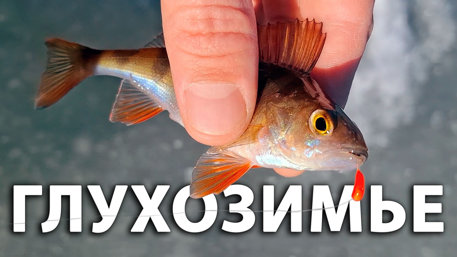 Рыбалка в глухозимье. Ловля окуня и плотвы на мормышку зимой.