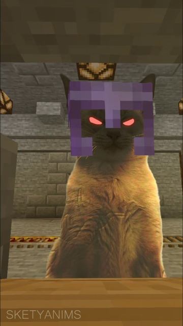 кошка в майнкрафте