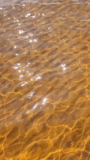 Карелия 2025. Челмужская коса. Онежское озеро. Июль 2025г (Часть 9)