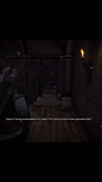 #witcher3 | Квест "Костры Новиграда"- помощь Трисс с крысами #games #rpg