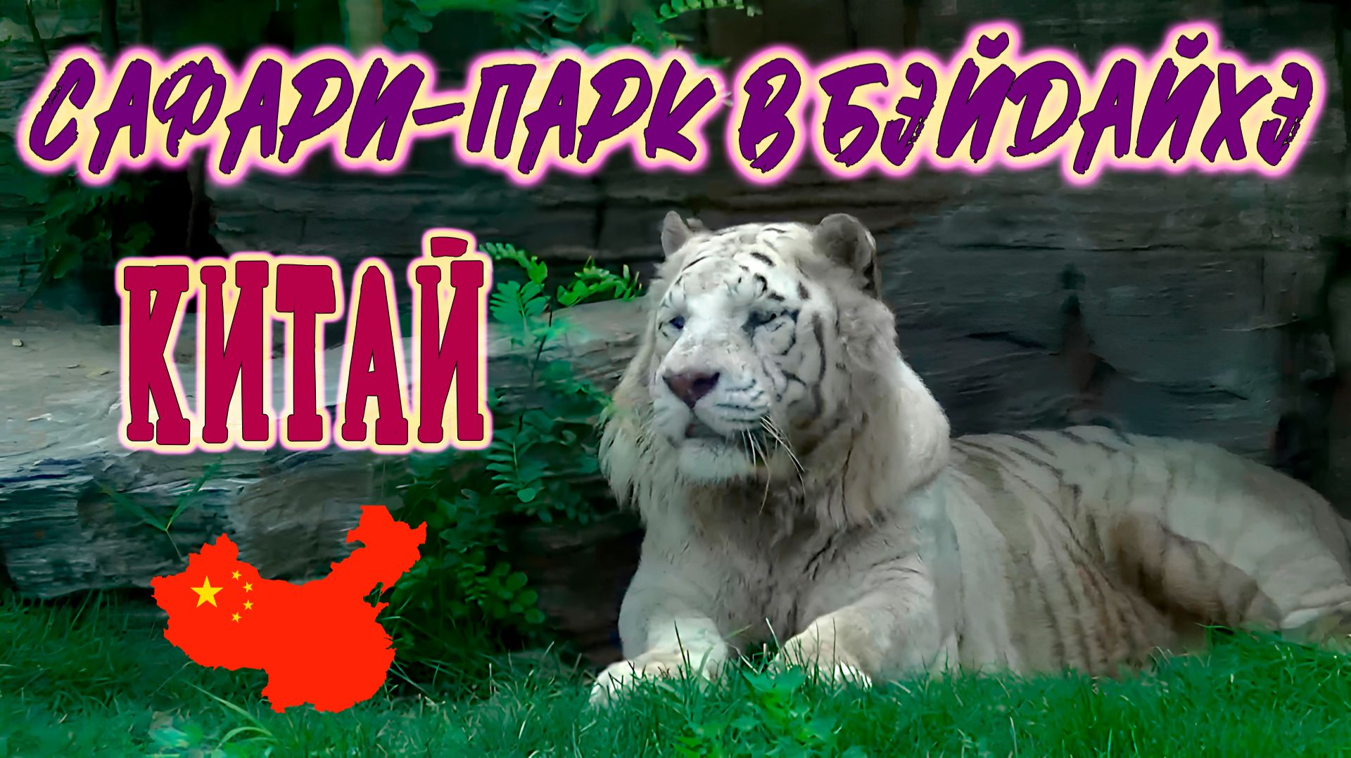 КИТАЙ. САФАРИ-ПАРК В БЭЙДАЙХЭ