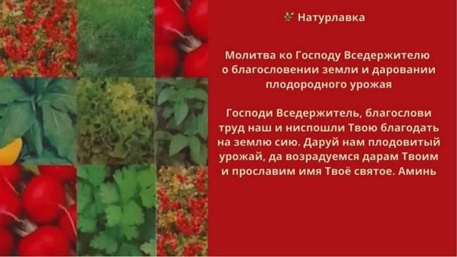 Молитва Благословление на плодовитый урожай.