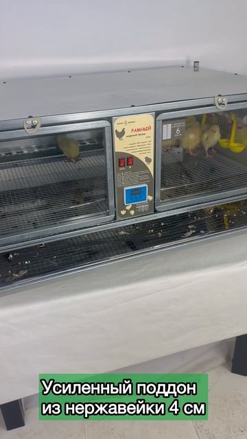 Рамный цифровой брудер 0716