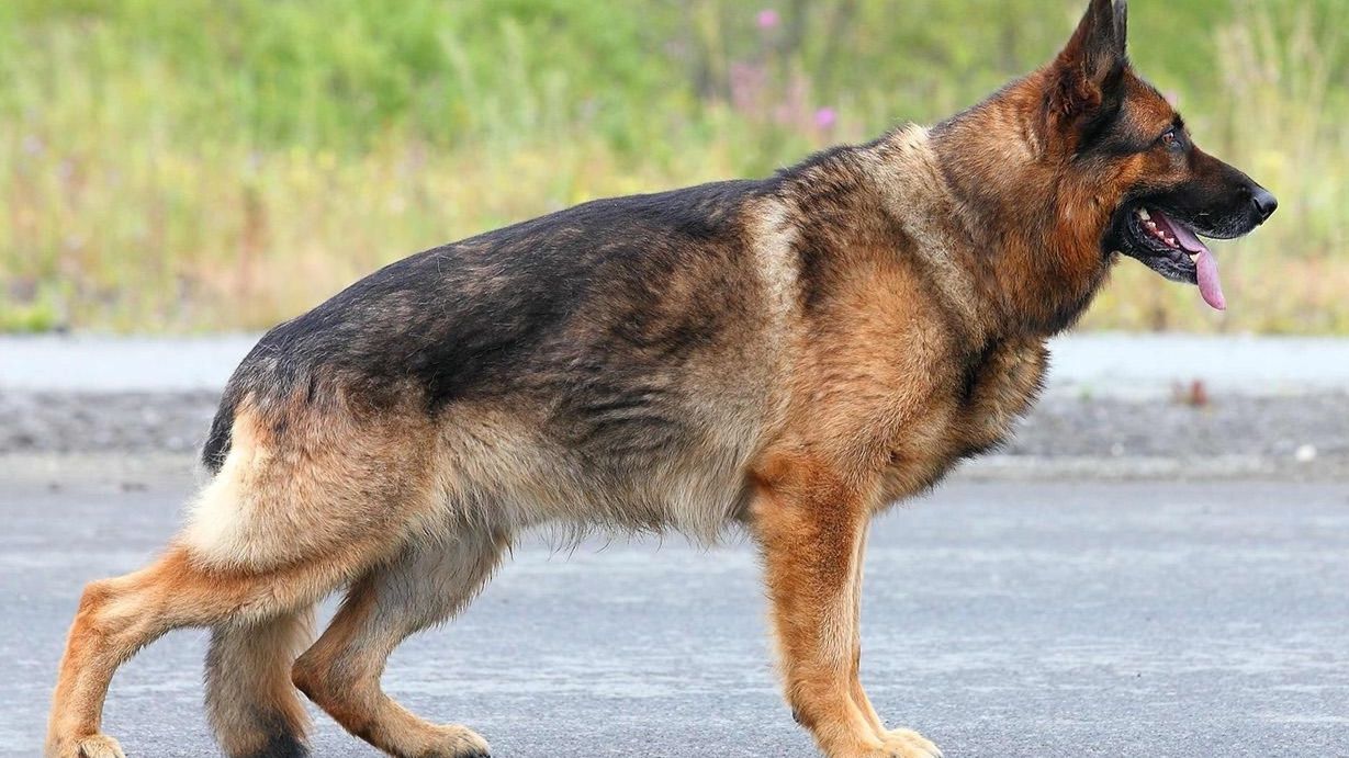 Откровение о смирении (2) Команда:"Смирно!" Команда:"Стойка!" Стоим смиренно, побеждая мир бесовский