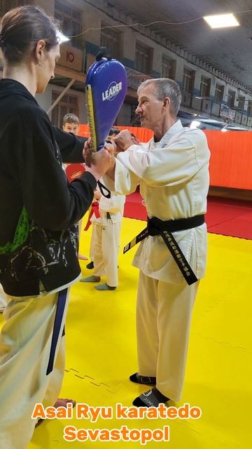 Мае аши маваси гери. Как правильно бить.