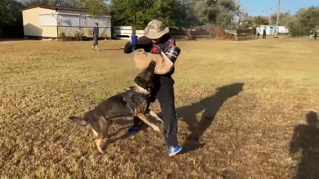 GANSLINGER v. Kayman