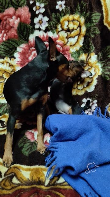 2026.01.29. Мама и сын.