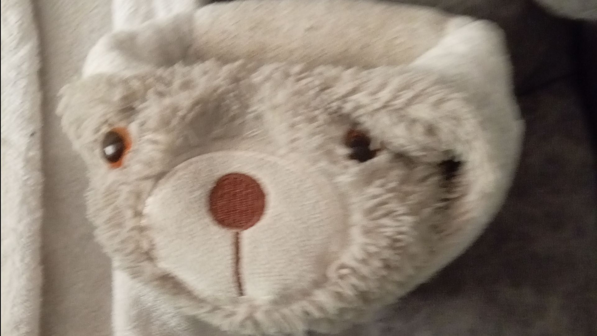 Снежная битва и ТНТ РАН!