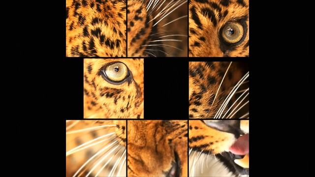 Ramio Lin - Нагато