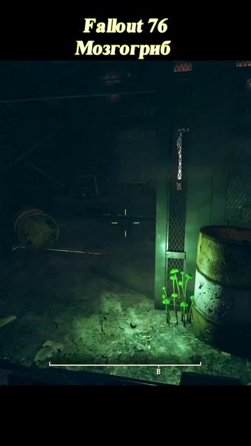 Fallout 76 Мозгогриб