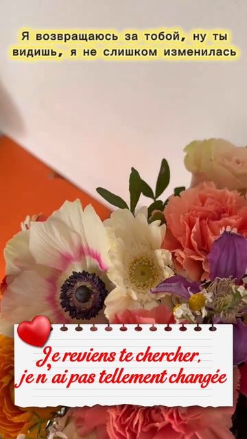 Далида | Учим фрвнцузские песни