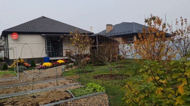 8-10.11.25. Купили толстолобиков. Осенние огородно-садовые работы.