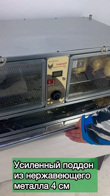 Рамный автоматический брудер 0713