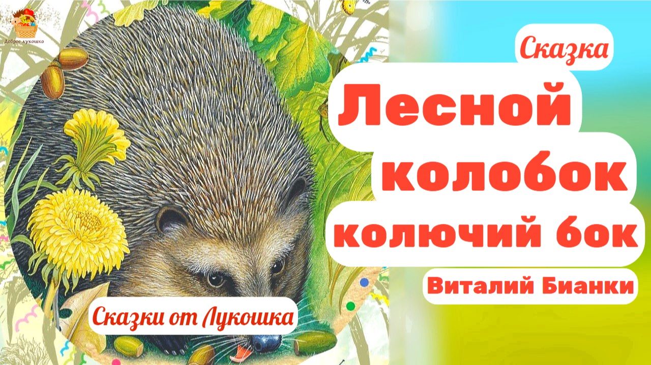 Лесной колобок-Колючий бок, Виталий Бианки • Лучшие сказки Бианки, слушать сказку онлайн бесплатно