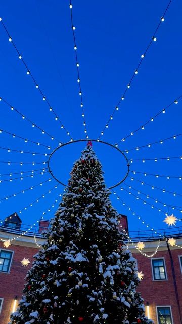 "Бутылка" в которую не советуют лезть. Санкт-Петербург. Новогодняя Новая Голландия.