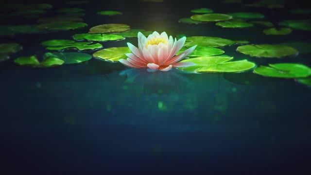 Шинобу кочо против Доума