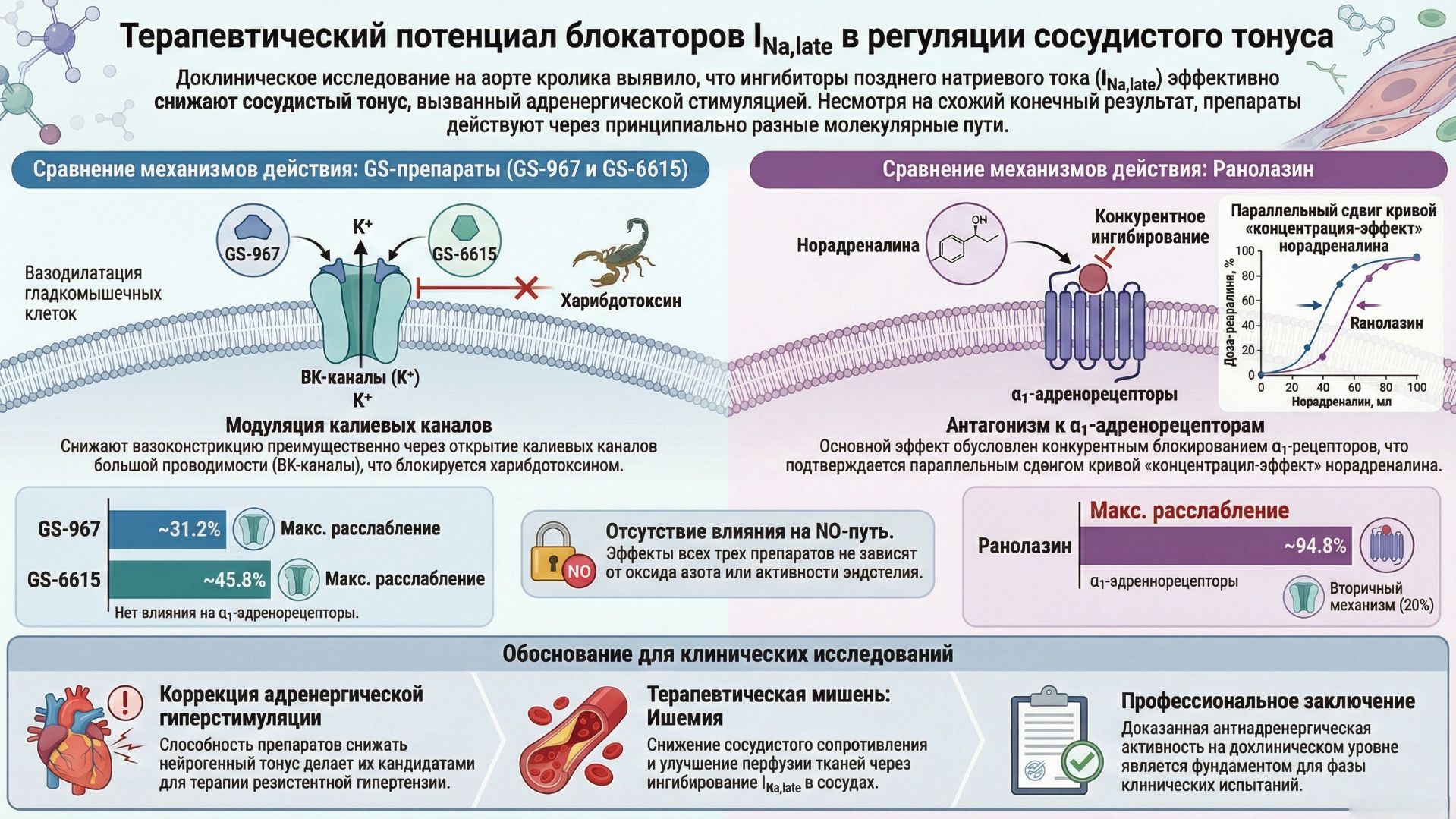 Скрытый механизм Ранолазина и GS-соединений в сосудах при стимуляции адренергических нервов