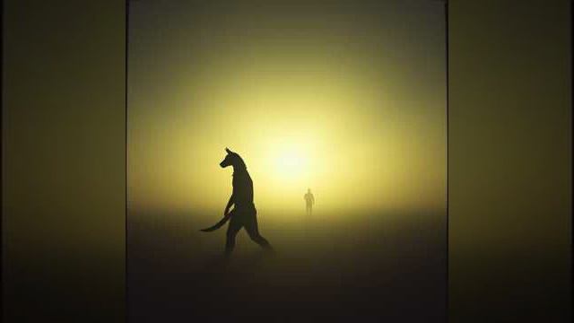 Я к животным неравнодушен (1)