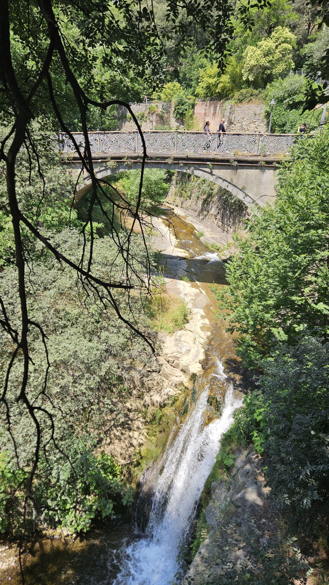 Ботанический сад Тбилиси