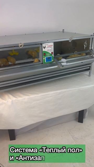 Рамный цифровой брудер 0709