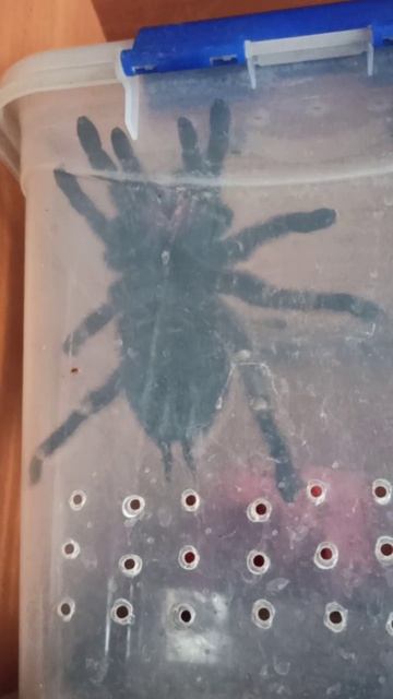 У Машеньки тусовка...