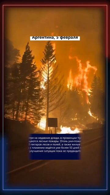 06.02.2026 Что произошло в мире