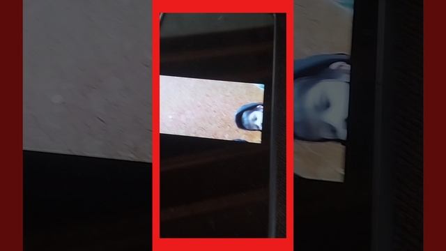 я снял видео🙃🌈🔥💥⚡ про то как приехал Баба Лена🦨 и там было ещё одно видео!!! 🤛