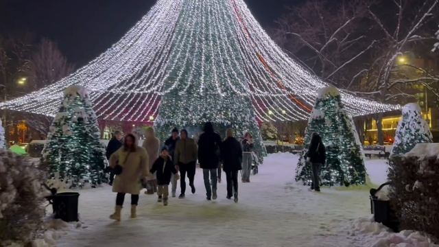 Шурик и Лидочка под Ёлкой | #краснодар#мирувлечений