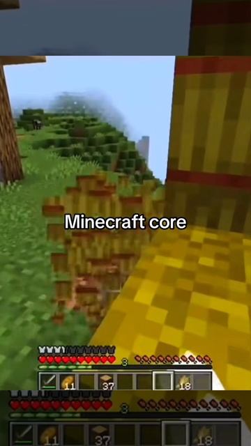 смешной семени в майнкрафте 😂