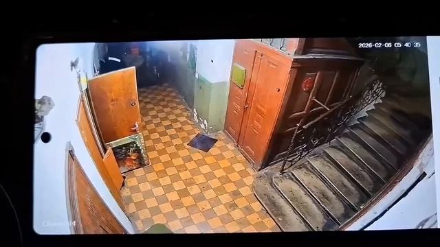 Львовский ухилянт неудачно выгулял свою собачку