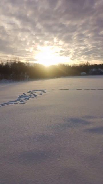 Рыбалка зимой.  Первый загар.