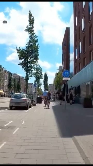 Нарциссы падки на свои уловки