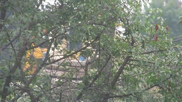 Бульдозер Т-130