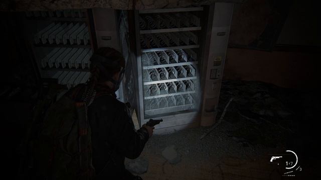 The Last of Us™ Part II Remastered #16