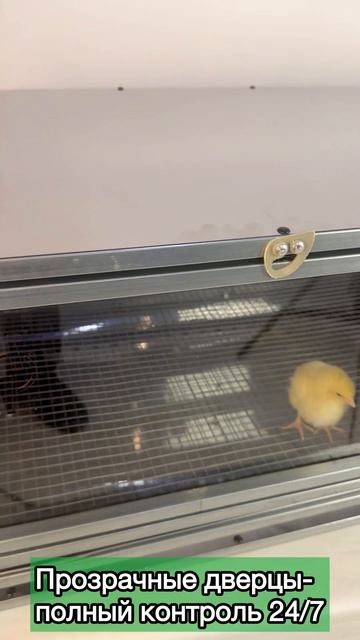 Рамный цифровой брудер 0717