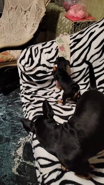 2026.01.29. Папа и сын.