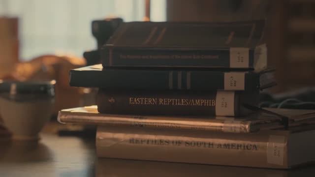 Филигон. "История одного колхоза"