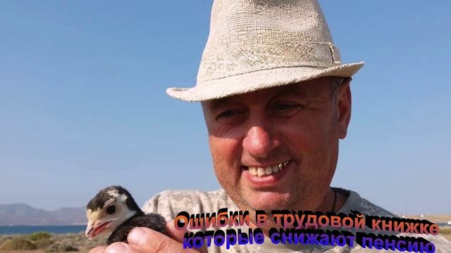 Ошибки в трудовой книжке которые снижают пенсию