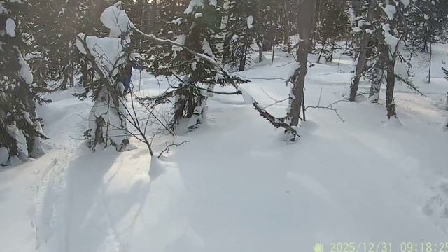 Шерегеш 2026: фрирайд со снегоходами - 1