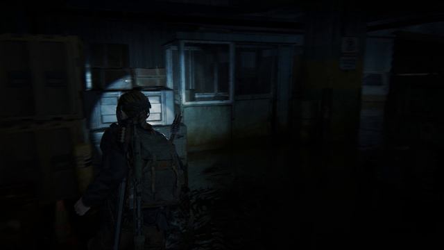 The Last of Us™ Part II Remastered #17