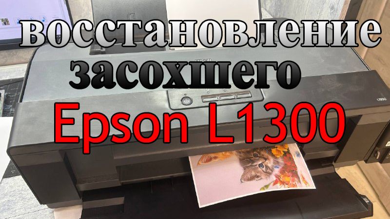 Восстановление засохшего Epson L1300