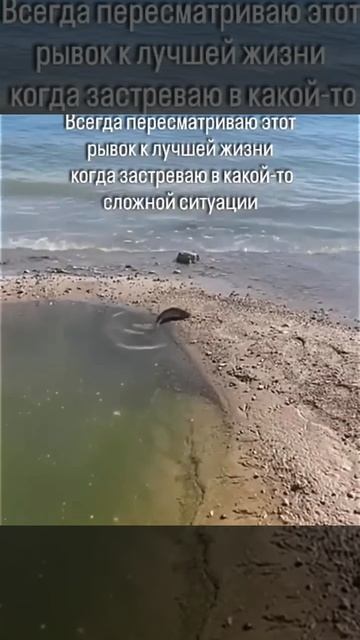 Сбежал от жены