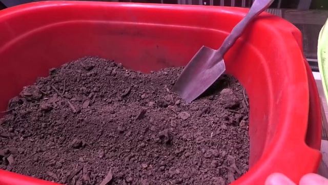 Грунт для выращивания рассады