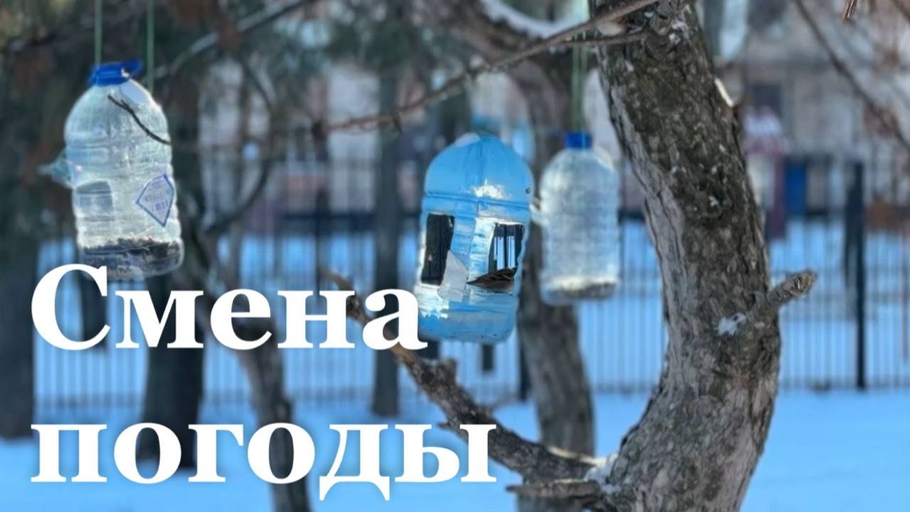 В ЛНР пришли сильные морозы / События недели