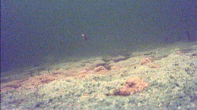 FILE190101-044443-000032F