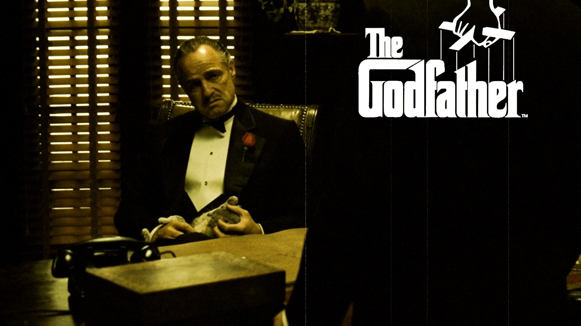 Godfather (Vikentiy Sound Video Edit) (2022)