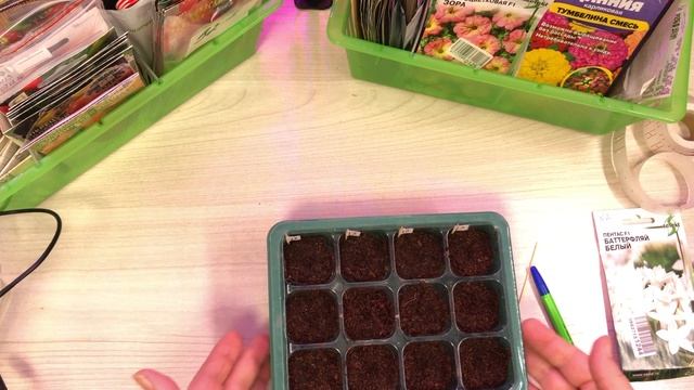 как сэкономить на торфяных таблетках посев петунии пентаса торении